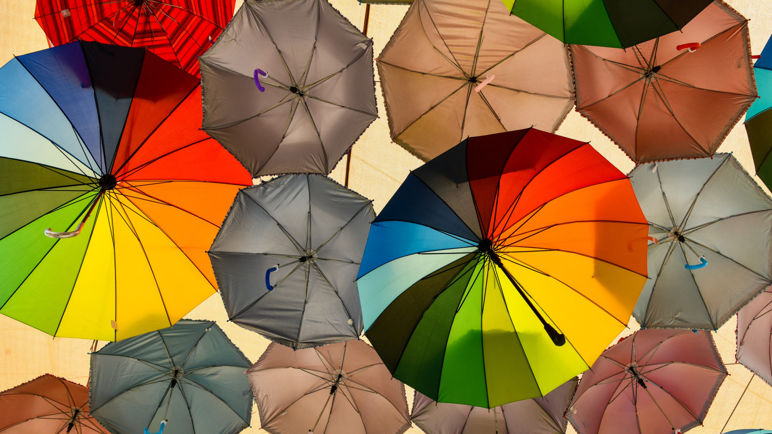 Grāmatvedības «jumta» likuma jaunais likumprojekts – apzinātas un ...